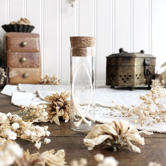 Real Burmese Python Rib Bones in Glass Vial Snake Bones - Etsy