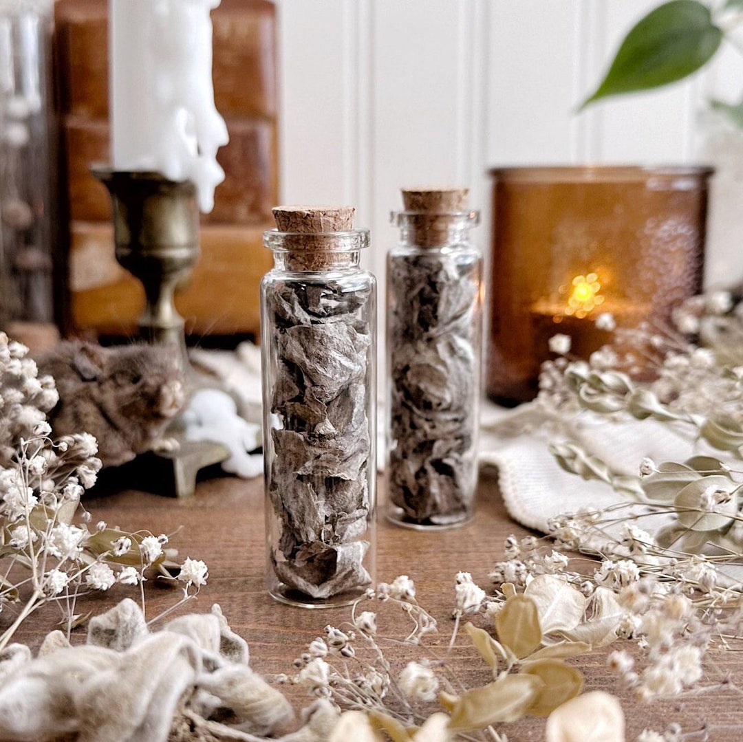 Real Wasp Nest Paper in Glass Vial, Natural History, Curiosity, Oddity ...