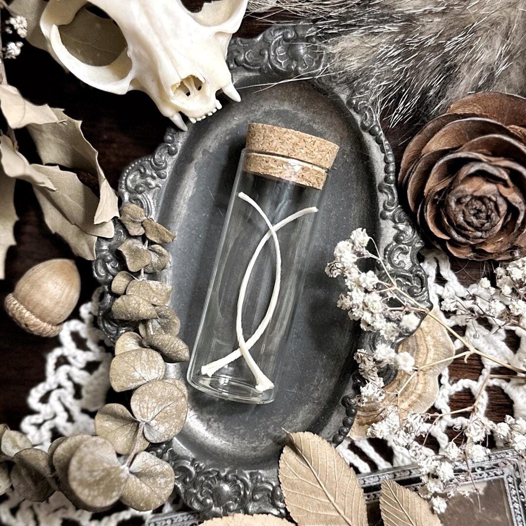 Real Emerald Tree Boa Rib Bones in Glass Vial – No. 01, Snake Bones ...