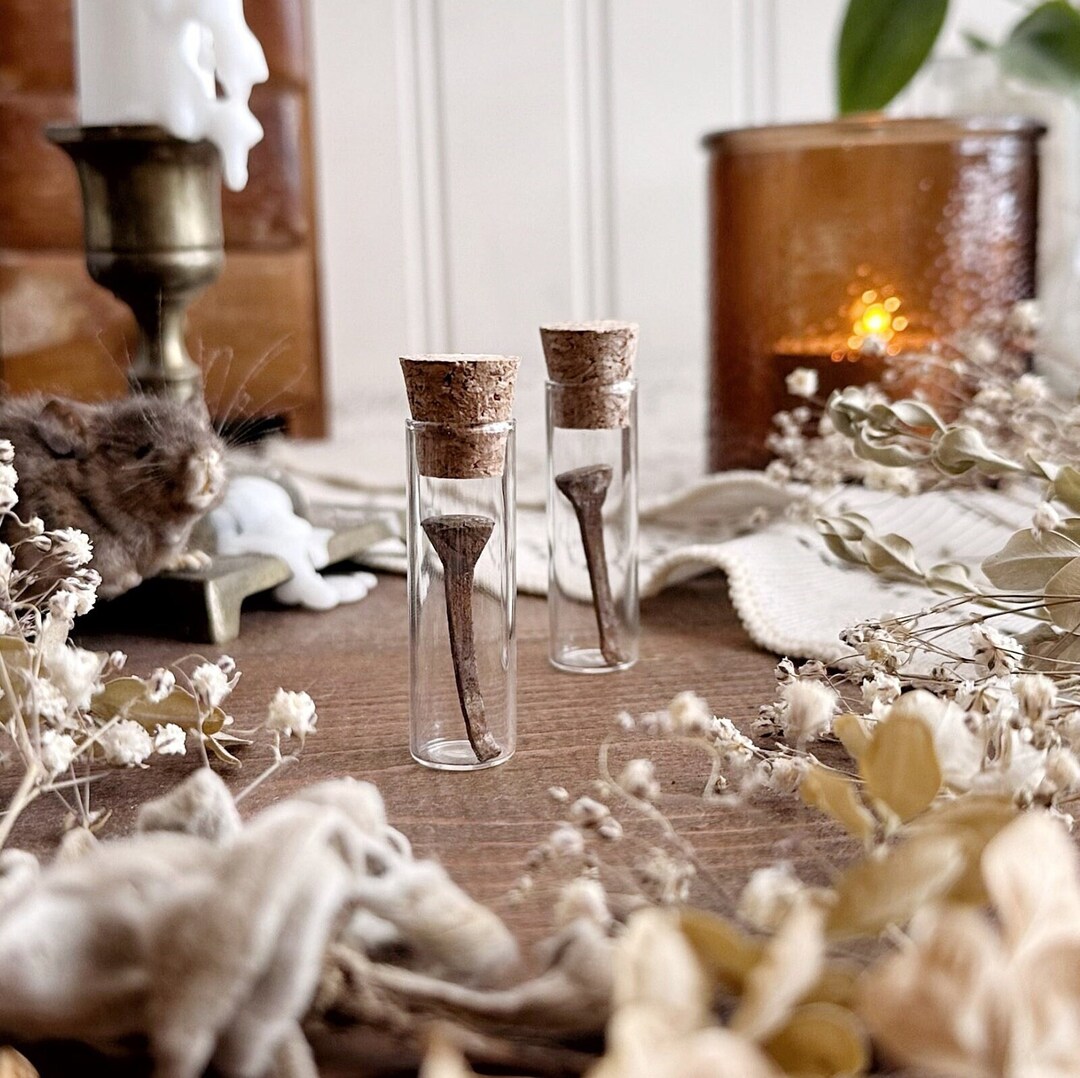 Real Horseshoe Nail in Glass Vial, Real Old Nails, Rustic Decor ...