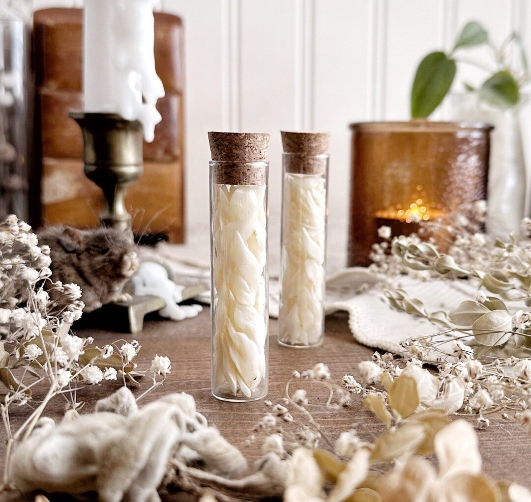 Petite Alligator Gar Scales in Glass Vial No. 01, Gar Bones, Natural ...