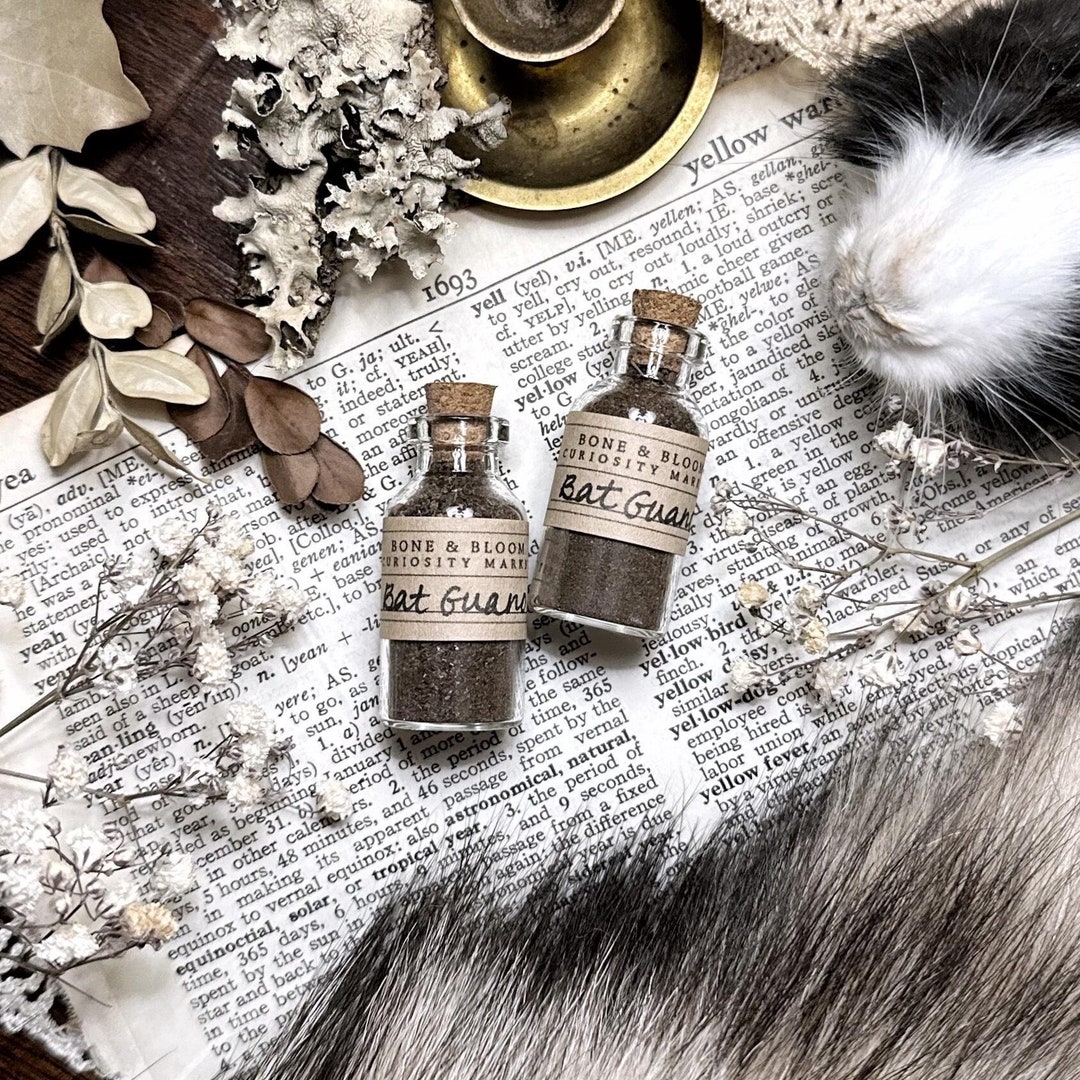 Real Bat Guano in Glass Vial, Real Bat Poop, Bat Guano Powder, Weird ...