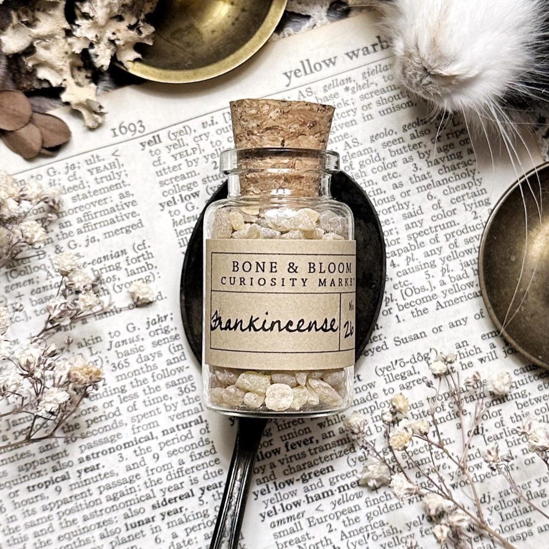 Dried Frankincense Resin in Glass Vial – No. 26, Dried Herbs, Dried ...