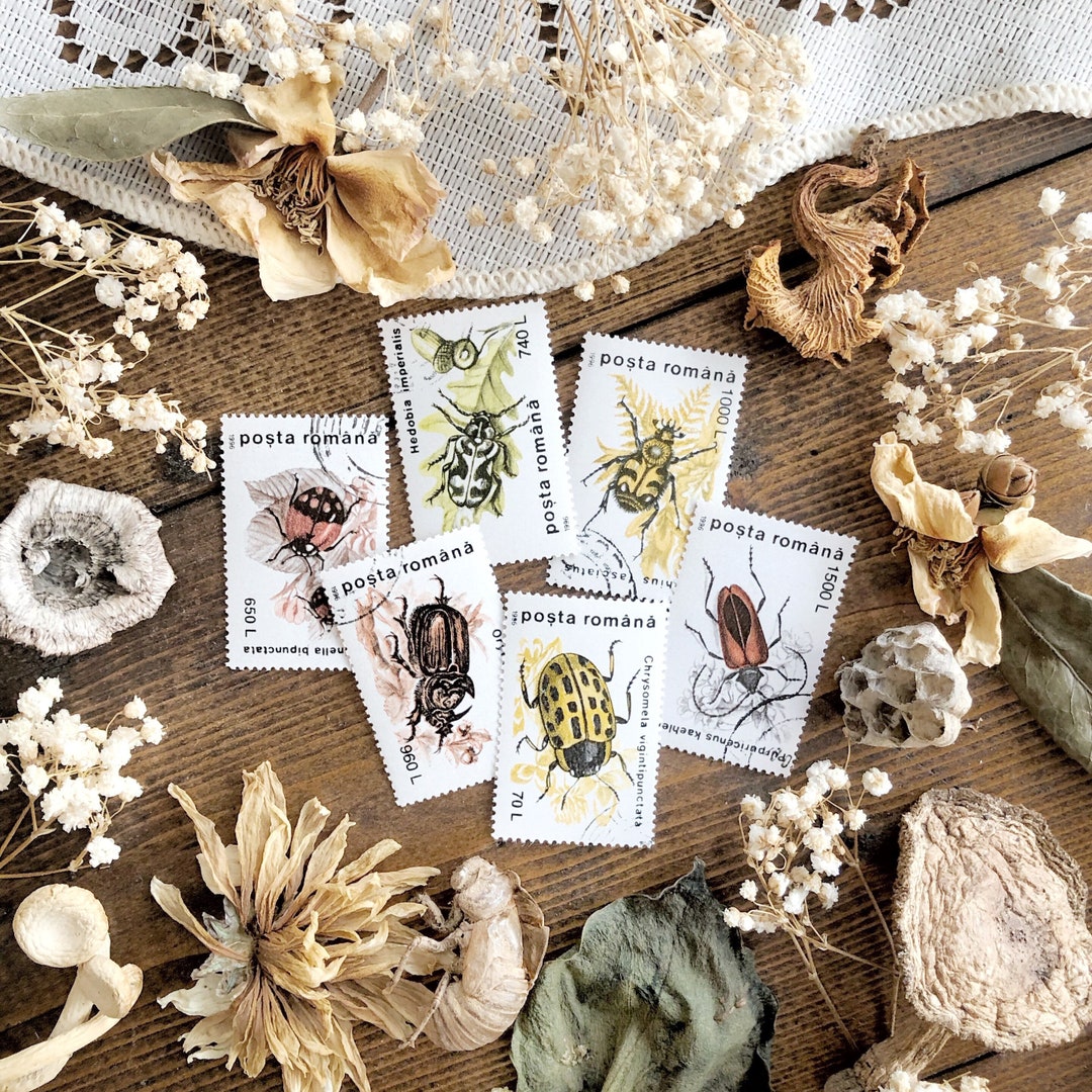 Vintage Insect Stamps No. 02, Natural History, Vintage Stamps, Animal ...