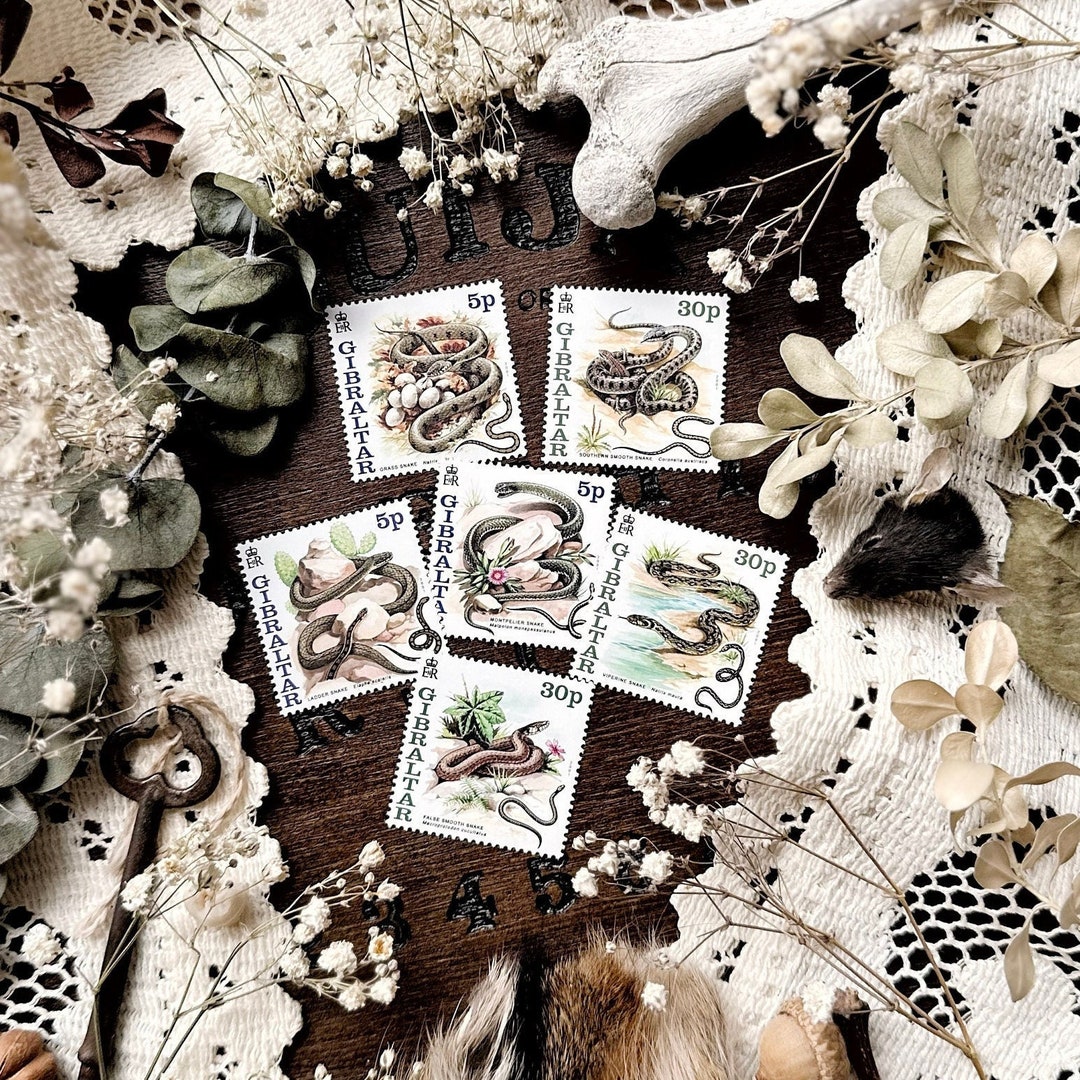 Vintage Snake Stamps – No. 15, Gibraltar 2001, Natural History, Animal ...