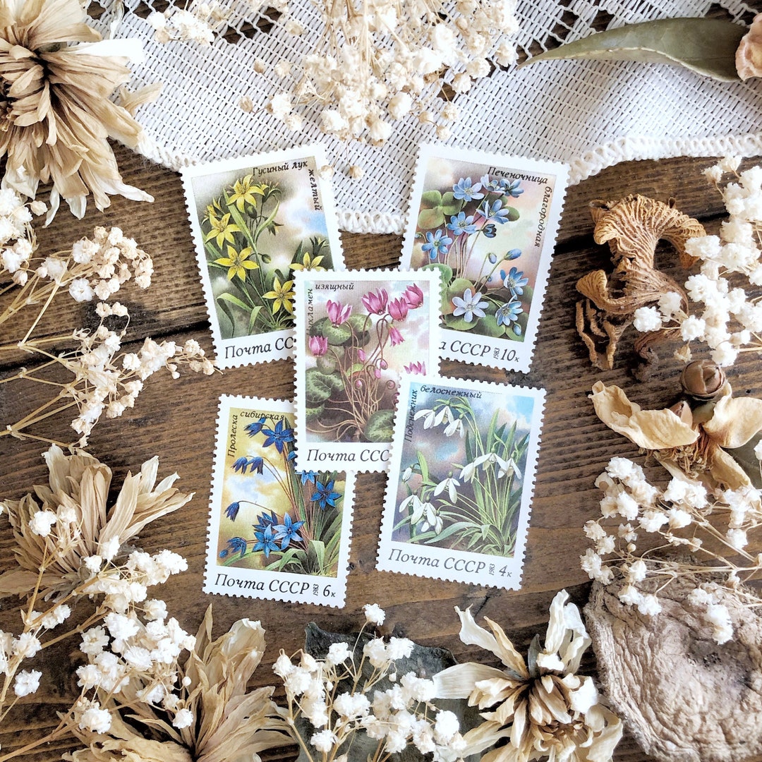 Vintage Botanical Stamps No. 22, 1983, Natural History, Vintage Stamps ...