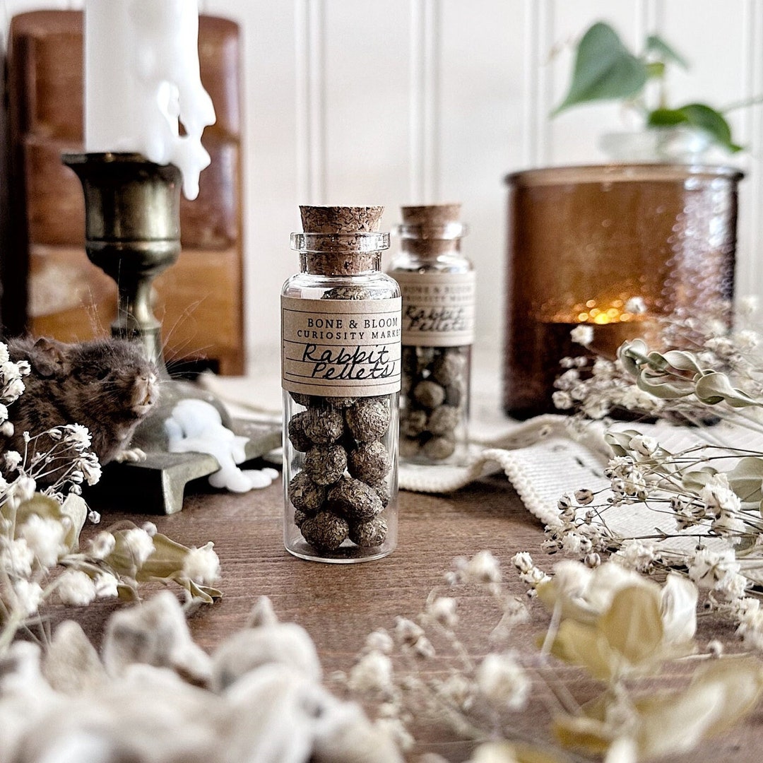 Real Rabbit Pellets in Glass Vial, Real Rabbit Poop, Weird Gift ...