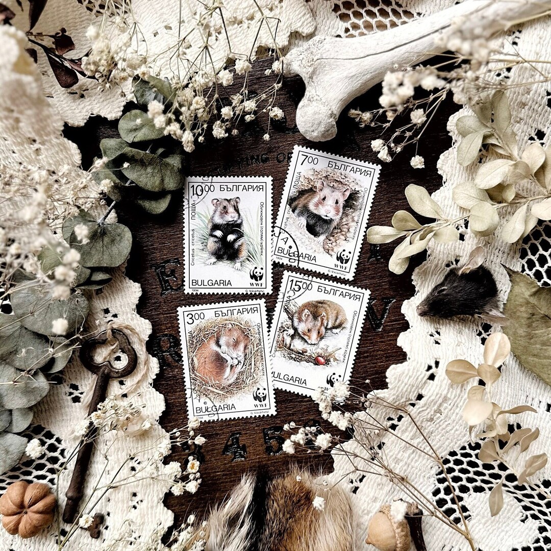 Vintage Hamster Stamps – No. 17, Bulgaria 1994, Natural History, Animal ...