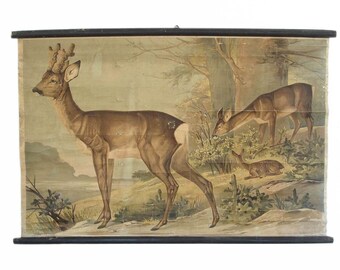 Wild Animals Chart Poster - Etsy