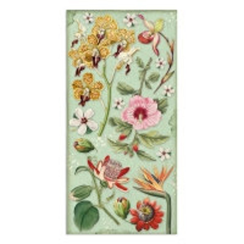 6x12 Scrapbook Paper Stamperia SBBV01 Amazonia | Etsy