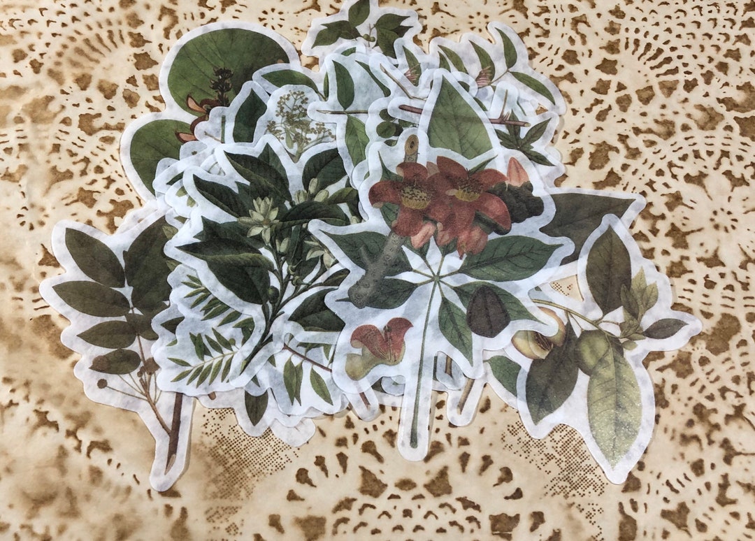 Stickers 20 Pc Rice Stickers Vellum Stickers Paper Stickers Stickers ...