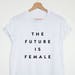 The Future is Female T-shirt, Feminist Shirt, Womens or Unisex Feminist ...