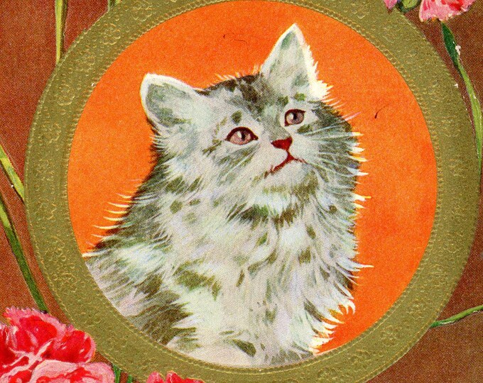Original Antique Vintage Postcard 1909 Silver Tabby Cat Kitty Motto ...