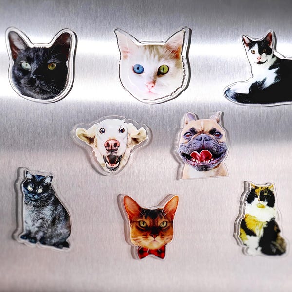 Funny Dog and Cat Magnets - Etsy