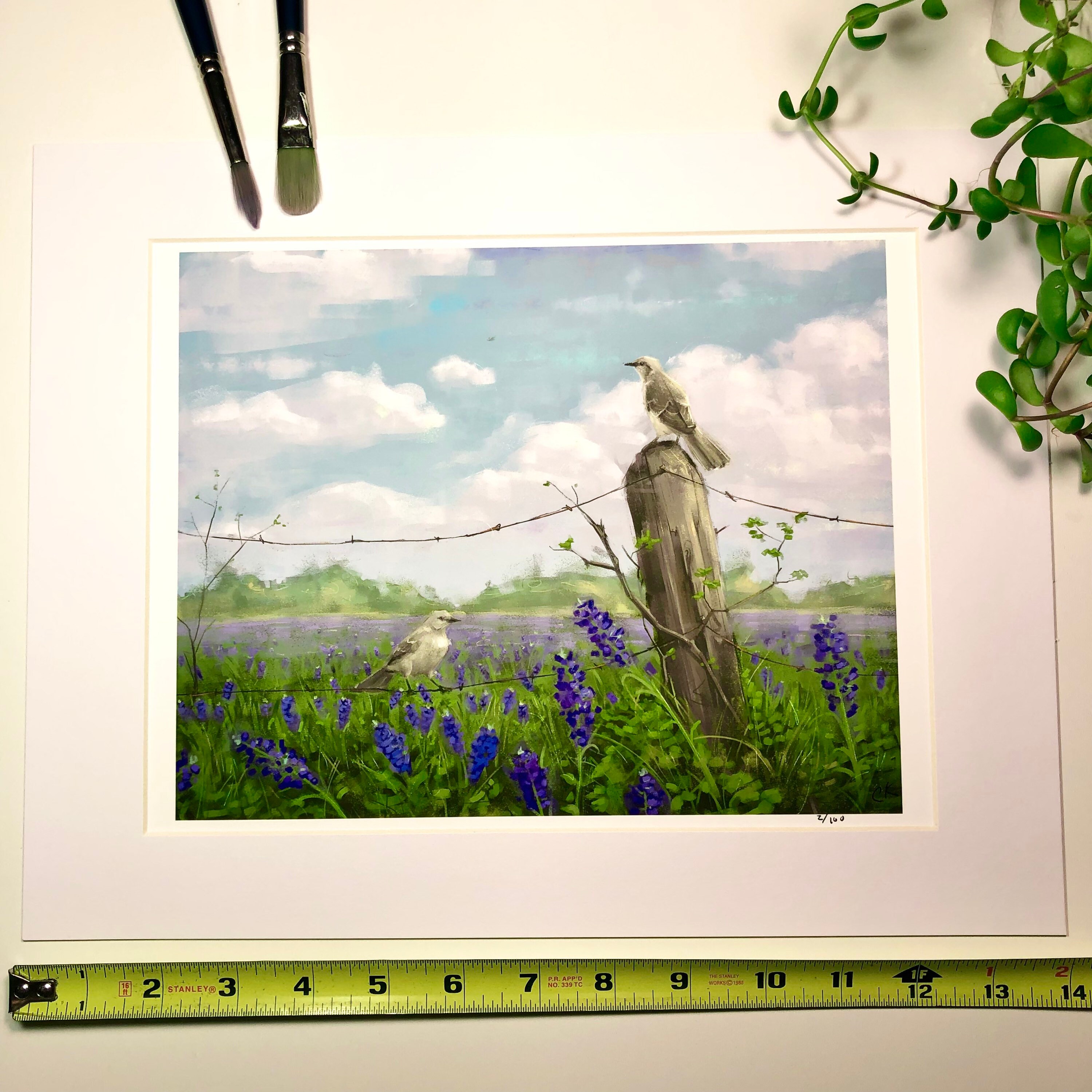 Bluebonnet Flowers With Mockingbirds in Texas Landscape - Etsy