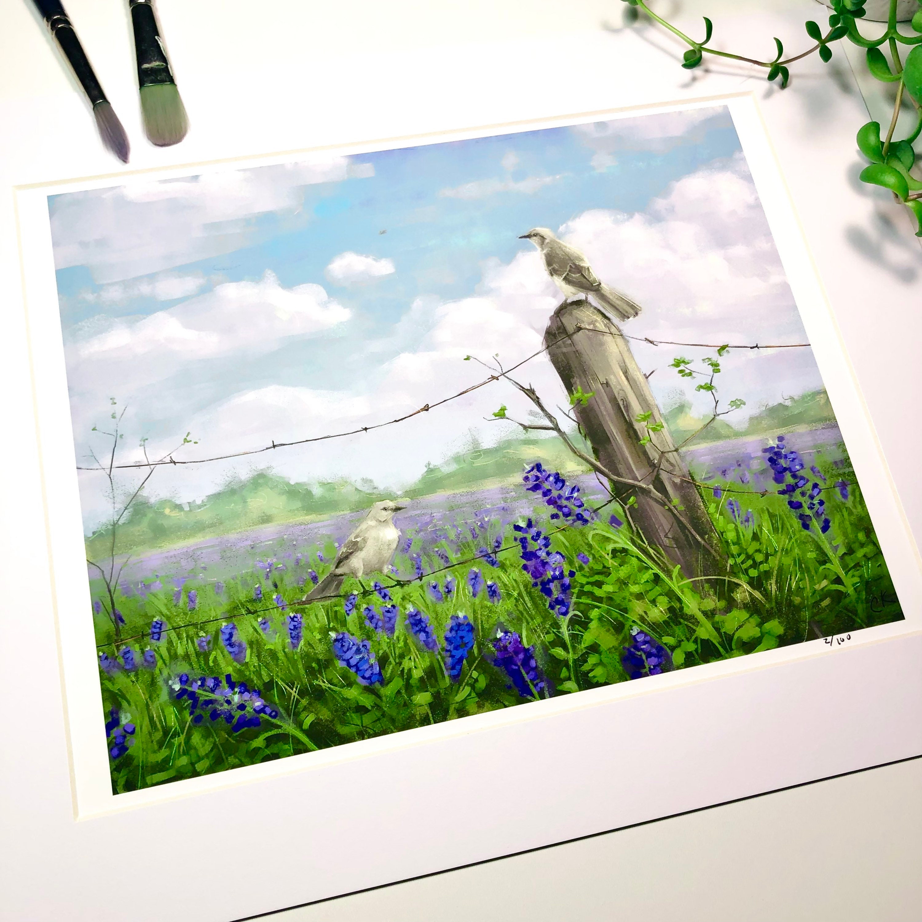 Bluebonnet Flowers With Mockingbirds in Texas Landscape - Etsy