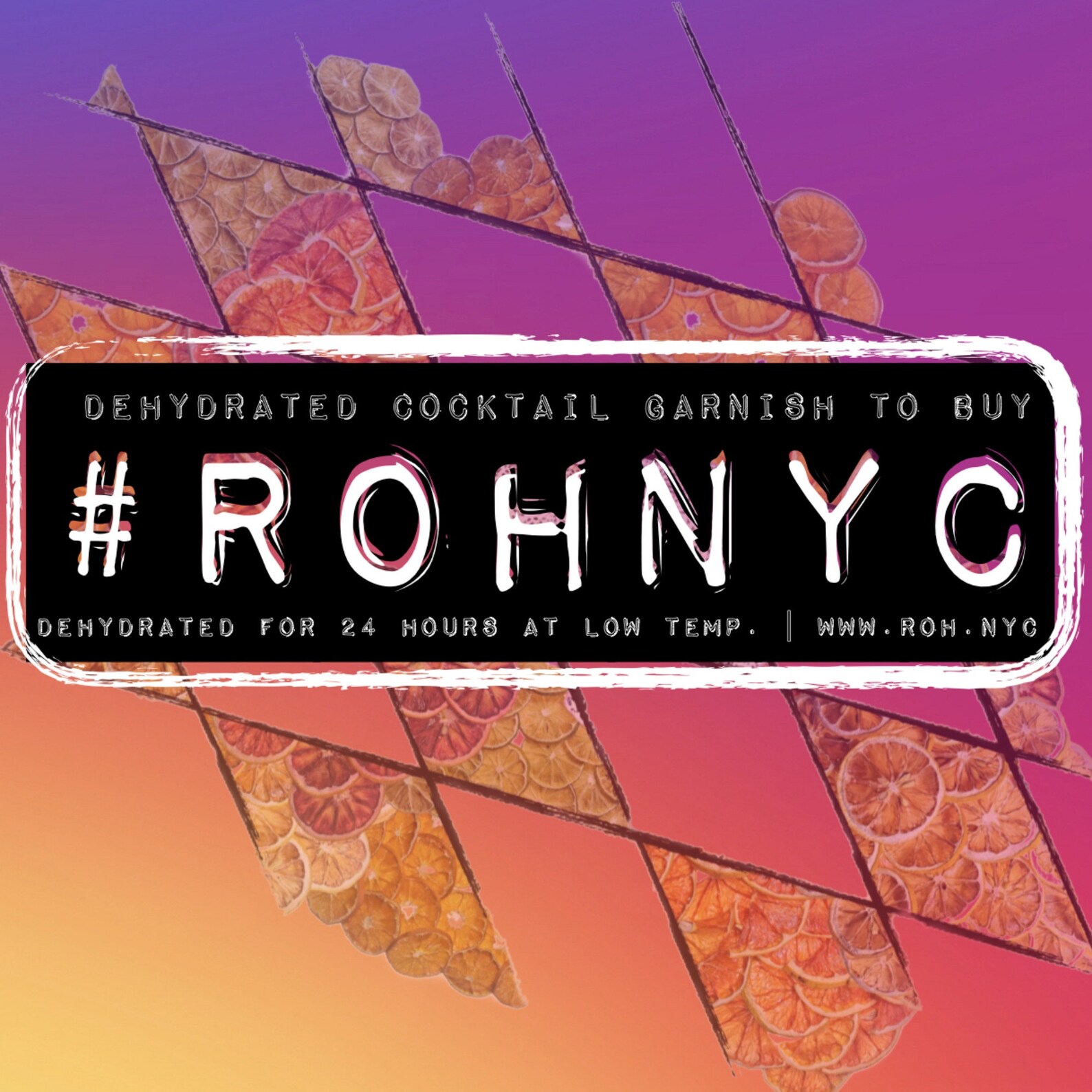 Lime Wheel Cocktail Garnishes to BUY Dried / Dehydrated | Etsy