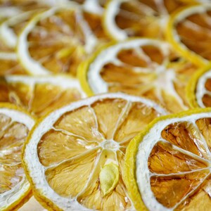 Lemon Wheel - Cocktail Garnishes to BUY - Dried / Dehydrated ...