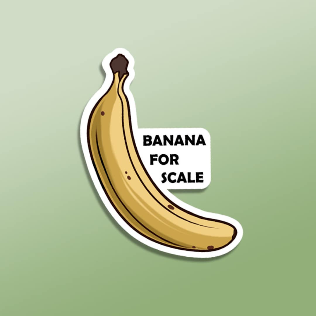 Banana for Scale Funny Meme Magnet - Etsy