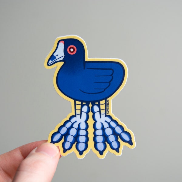 Coot - Etsy
