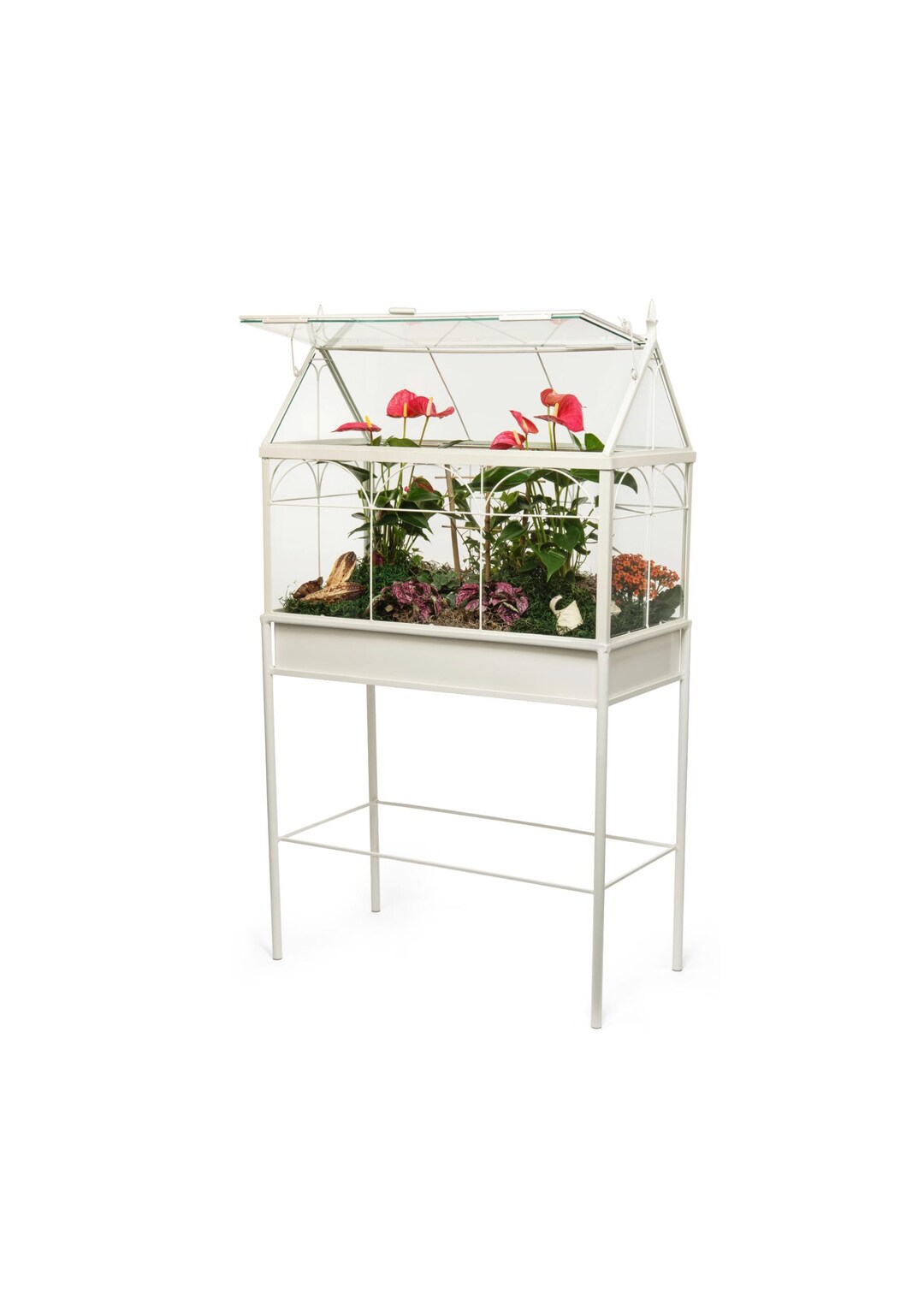 H Potter Large Terrarium Wardian Case, Glass Metal Display Case ...