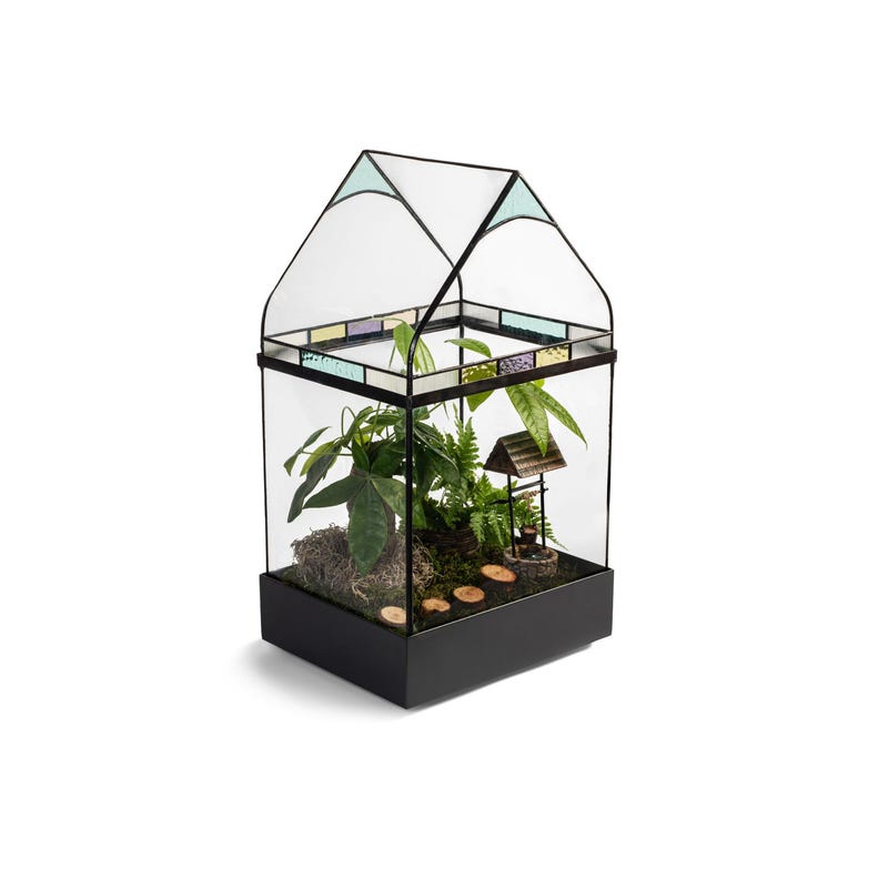 Square Terrarium - Etsy