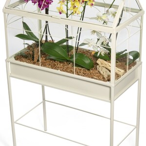 H Potter Large Terrarium Wardian Case, Glass Metal Display Case ...