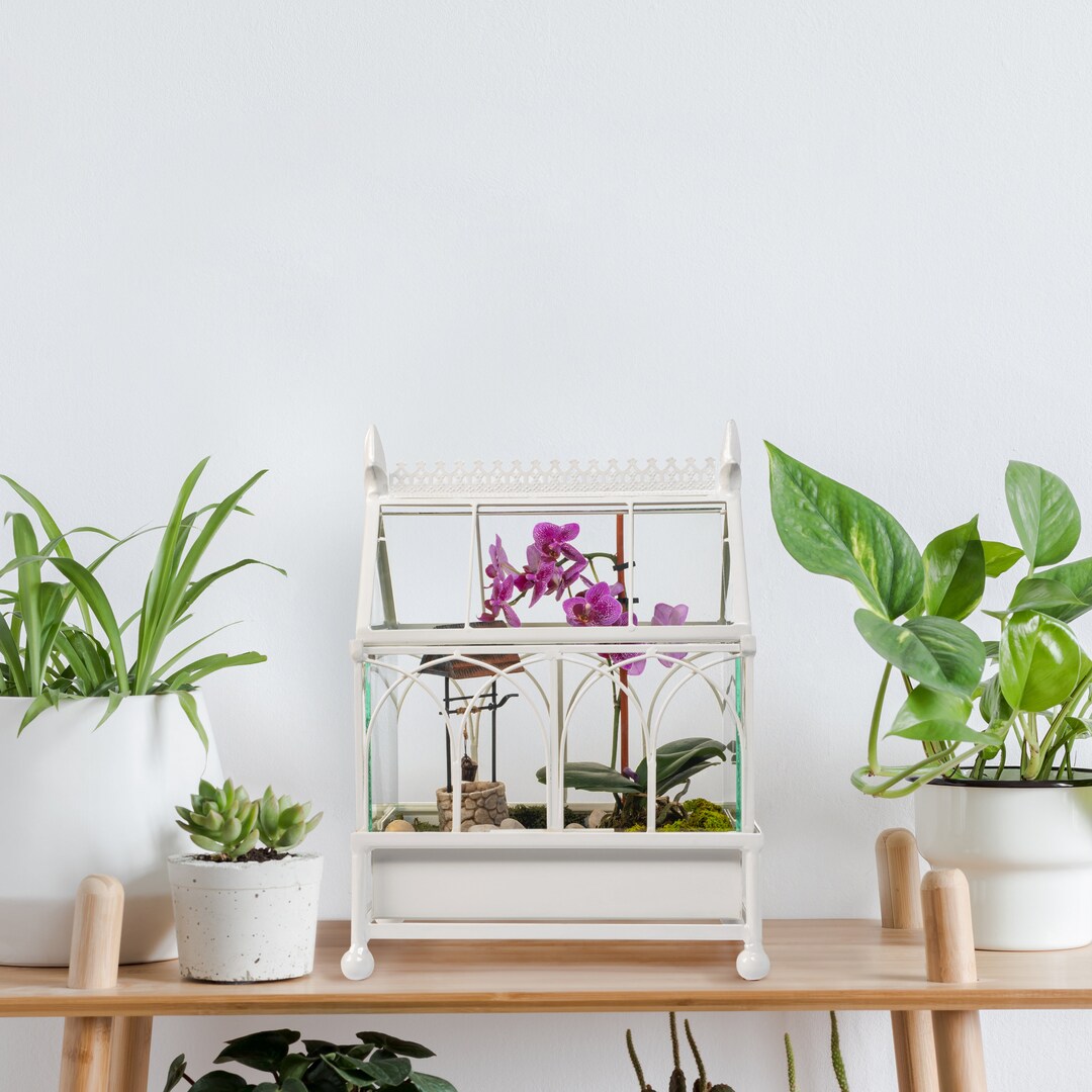 H Potter Terrarium Wardian Case, Glass Metal Display Case, Succulent ...
