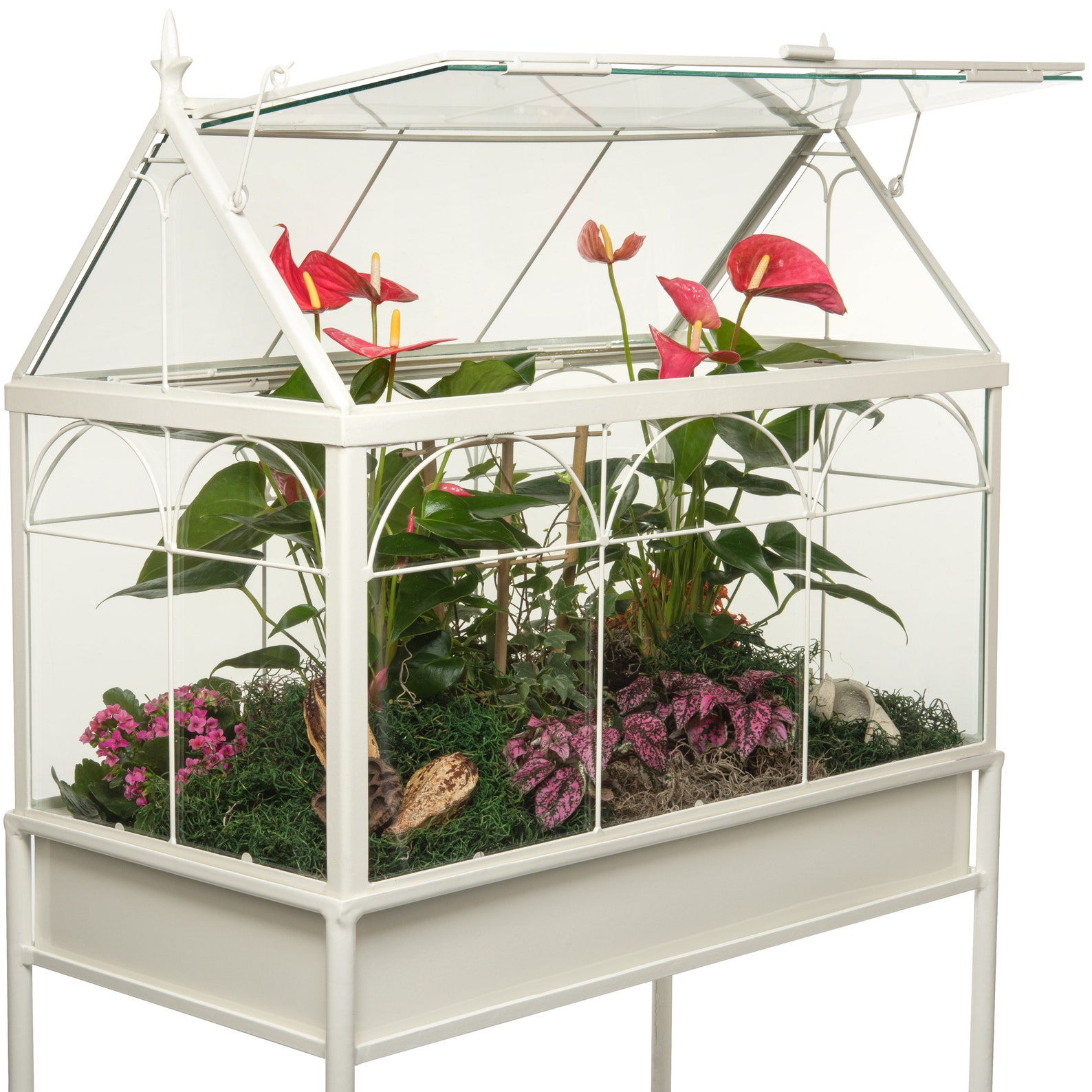 H Potter Large Terrarium Wardian Case, Glass Metal Display Case ...