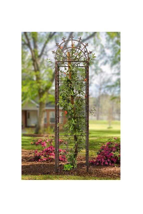 Large Wrought Iron Trellis