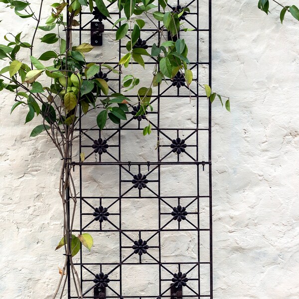 Metal Wall Trellis - Etsy