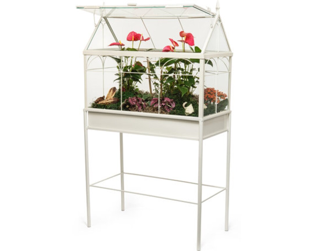 H Potter Large Terrarium Wardian Case, Glass Metal Display Case, Unique ...