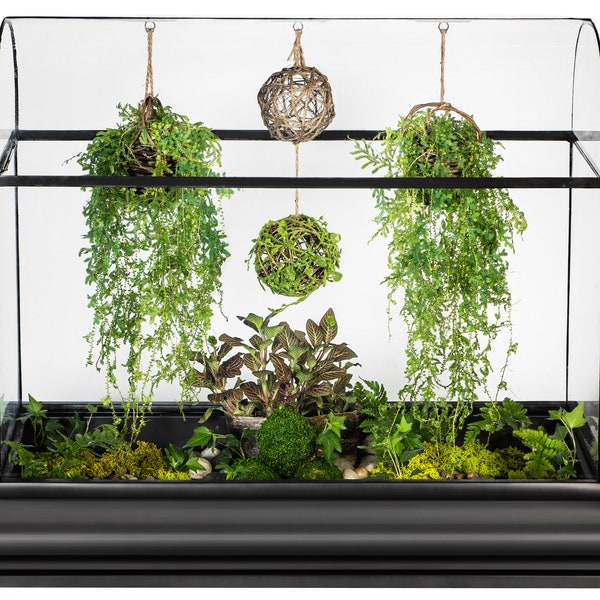 Extra Large Glass Terrarium - Etsy