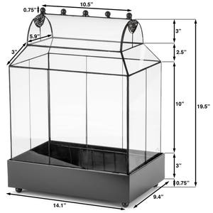H Potter Terrarium Curved Glass Large Wardian Case Container, Glass ...