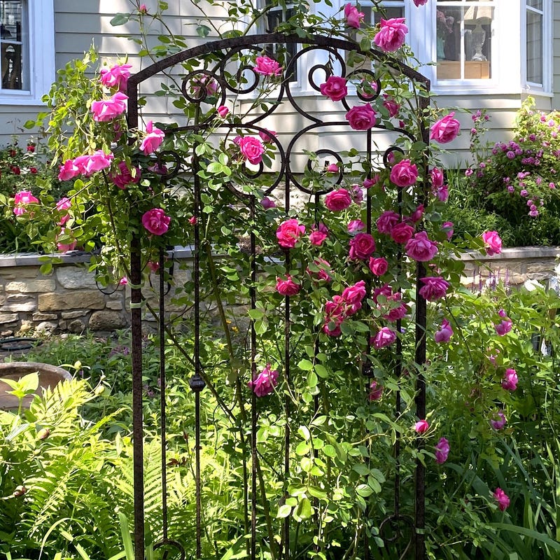 Wrought Iron Gate 6 - Etsy