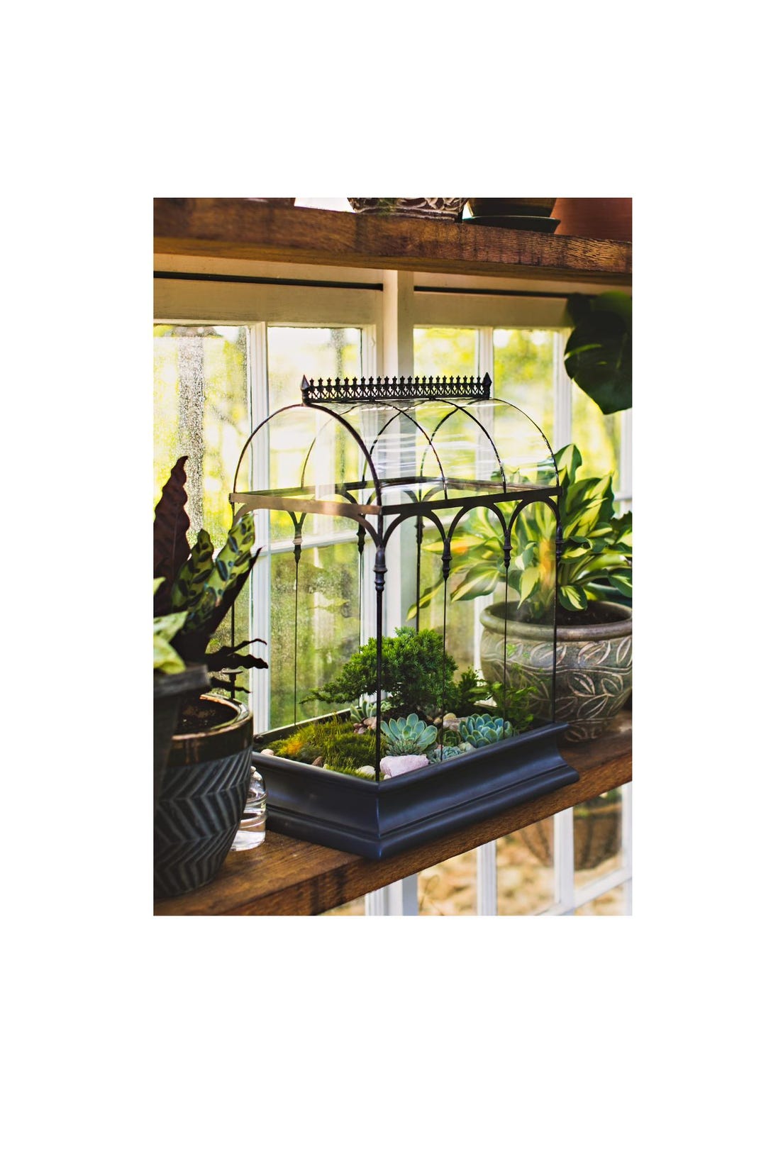 H Potter Terrarium Large Glass Terrarium Wardian Case, Display Case ...
