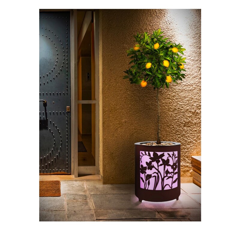 Wall Planter With Light - Etsy