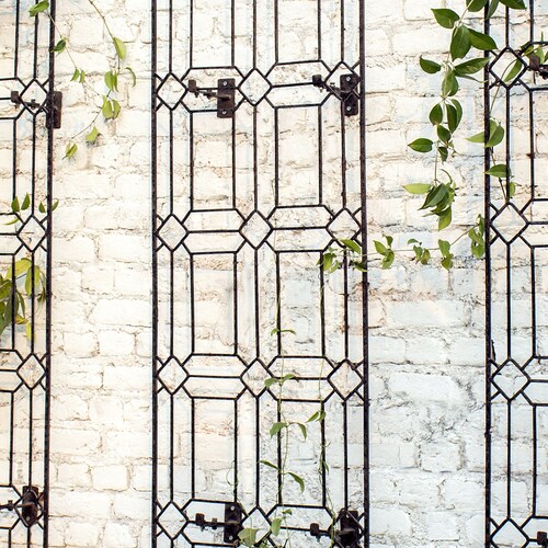 H Potter Large Diamond Trellis Metal Garden Trellis Wrought - Etsy