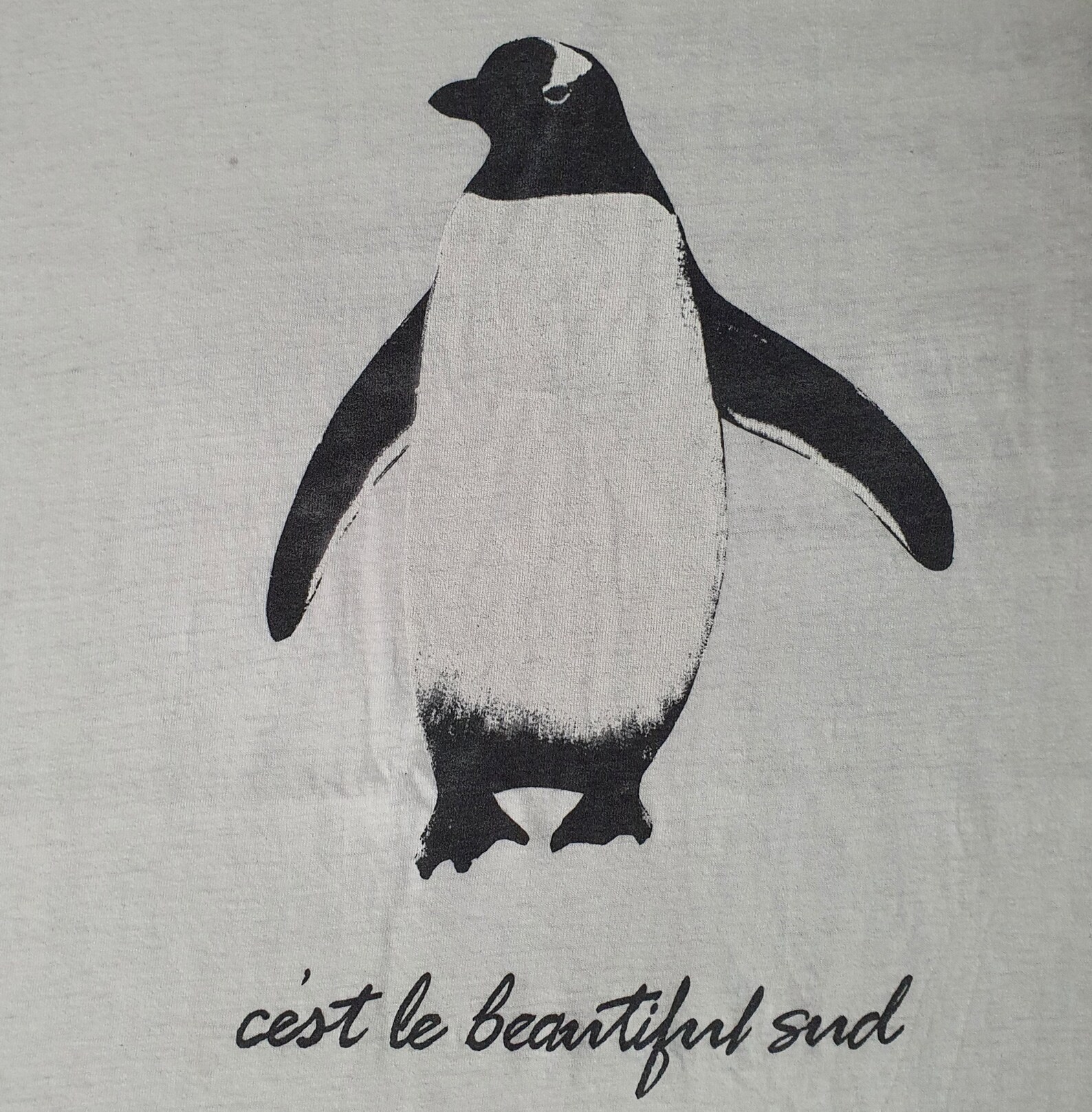 Vintage 1991 THE BEAUTIFUL SOUTH Uk Tour T Shirt Size Large / Rare 90s ...