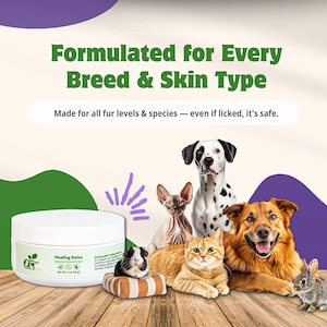 Natural Pet Healing Salve - Organic Skin Balm for Dogs & Cats | Wound ...