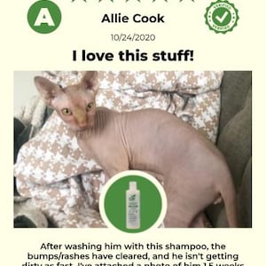 Hairless Pet Shampoo & Conditioner Set | Natural Sphynx Cat Shampoo ...