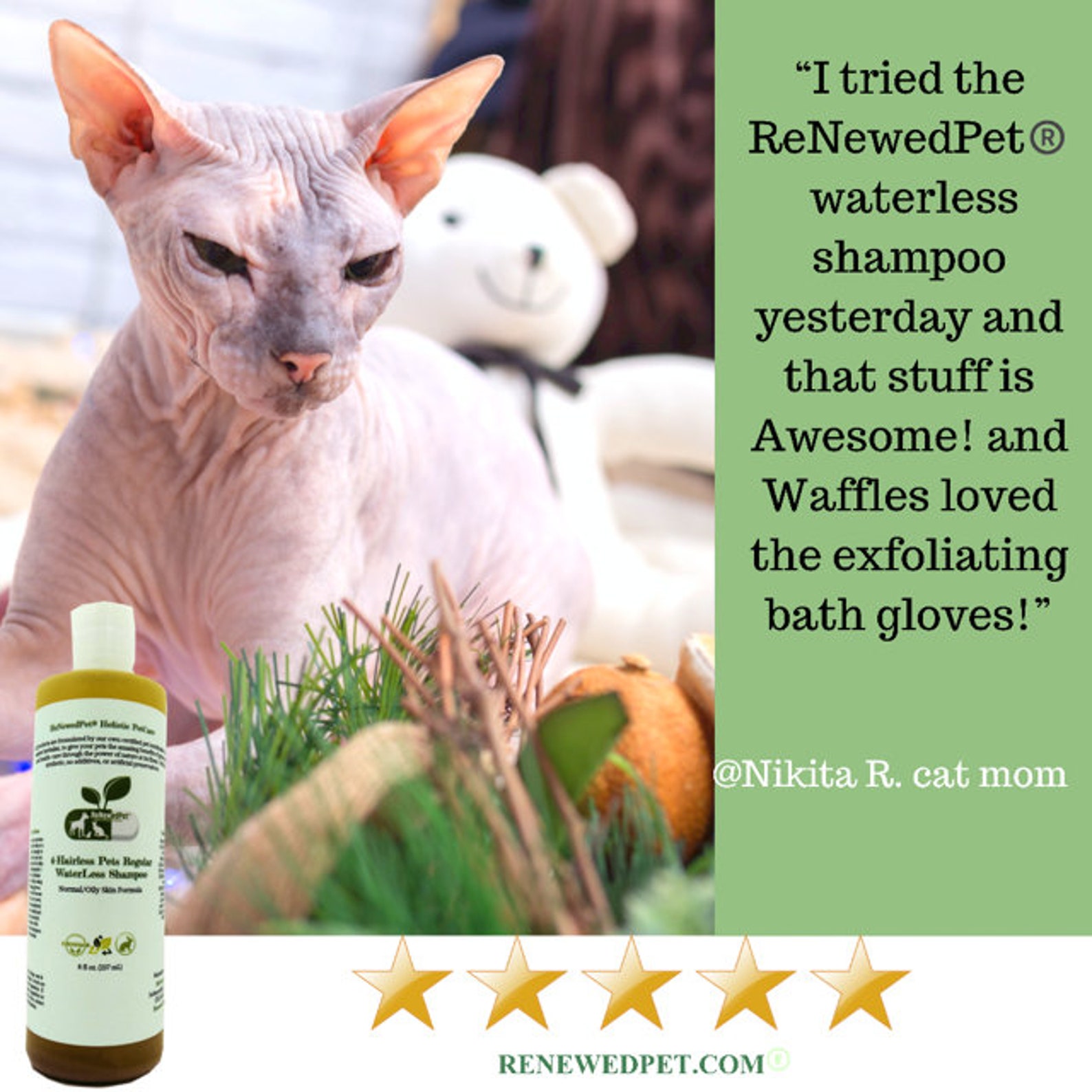 4-HAIRLESS PETS restorative Cat Kit sample For: - Etsy