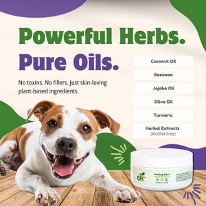 Natural Pet Healing Salve - Organic Skin Balm for Dogs & Cats | Wound ...