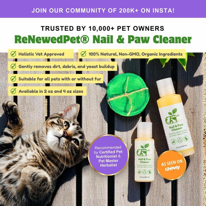 Paws Shampoo - Etsy