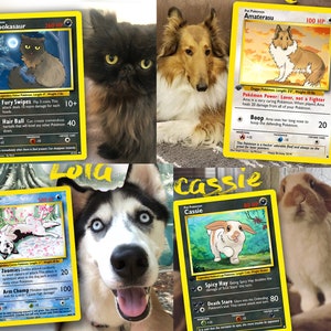 Your Pet as a Pokemon Card - Etsy