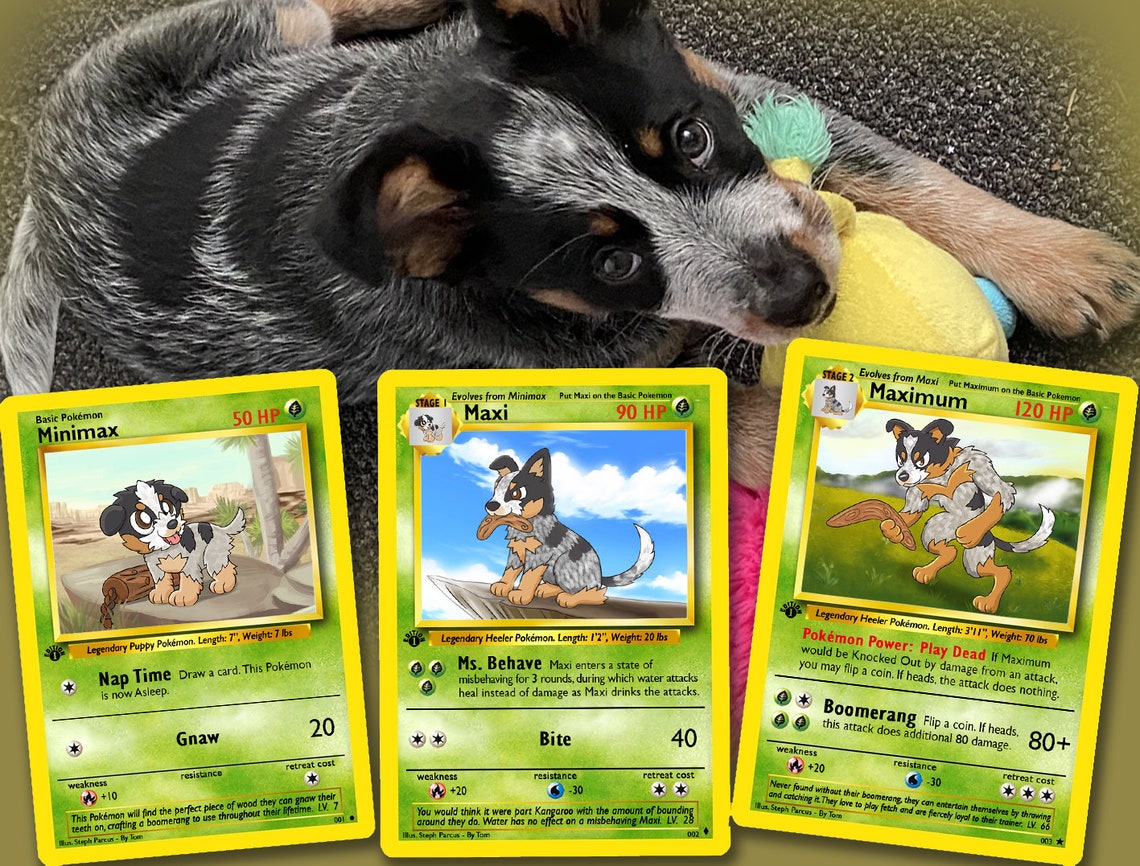 Evolution Set 2 or 3 Pet Pokemon Cards | Etsy