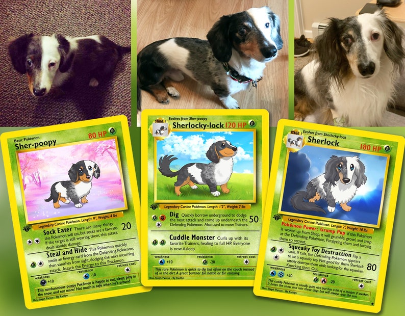 Evolution Set 2 or 3 Pet Pokemon Cards | Etsy