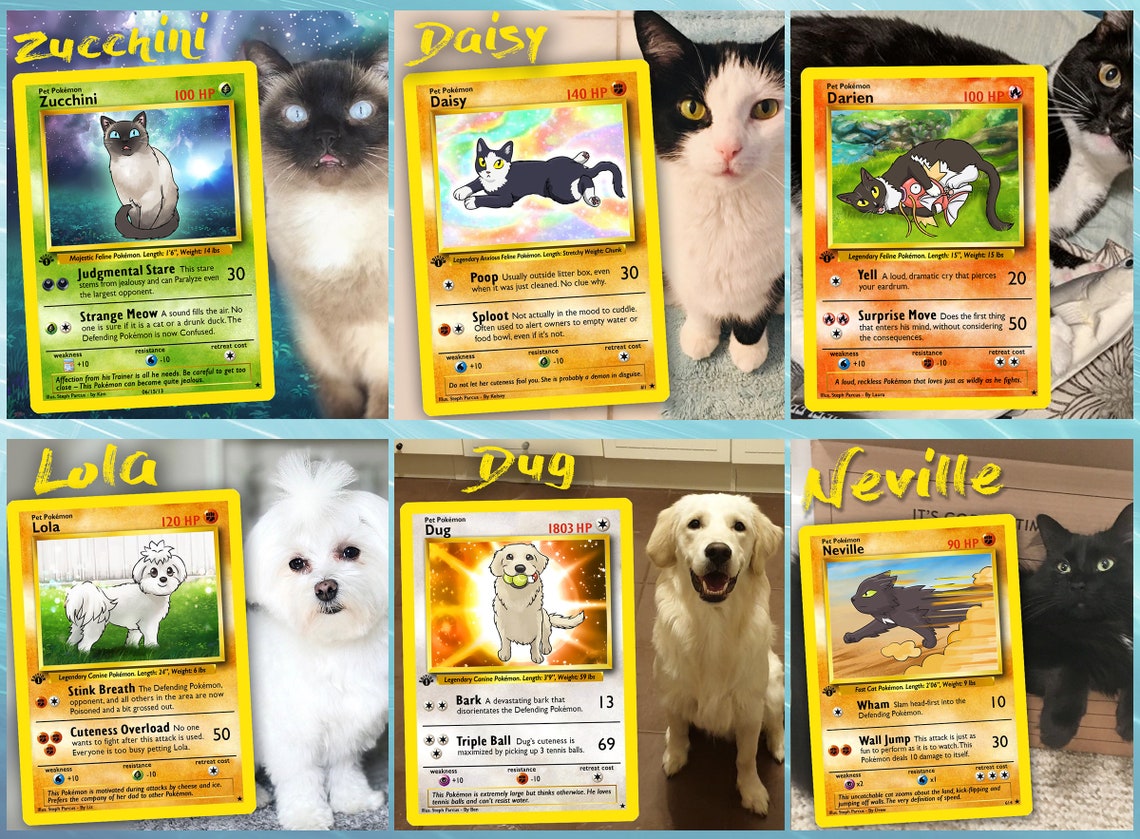 Your Pet as a Pokemon card | Etsy