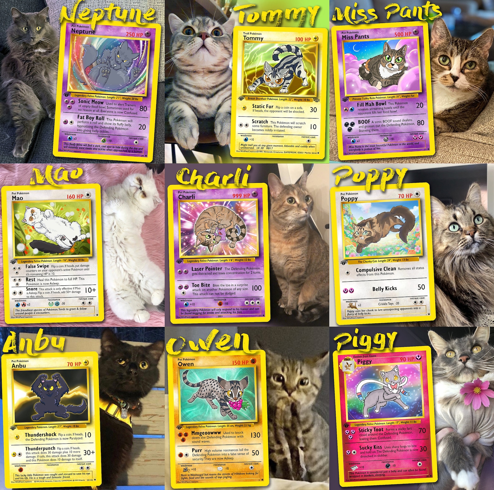 Your Pet as a Pokemon Card - Etsy