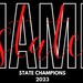 PERSONALIZED State Champions PNG 2023 - Etsy